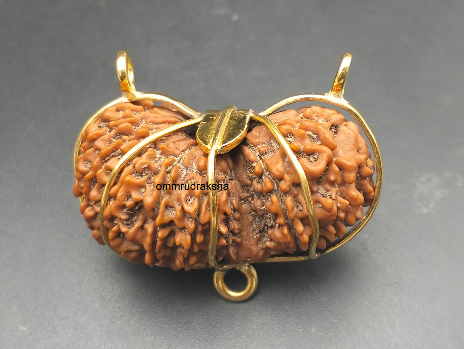 20 Mukhi Gauri Shankar Rudraksha with Gold Capping - 20mm, Nepali ...