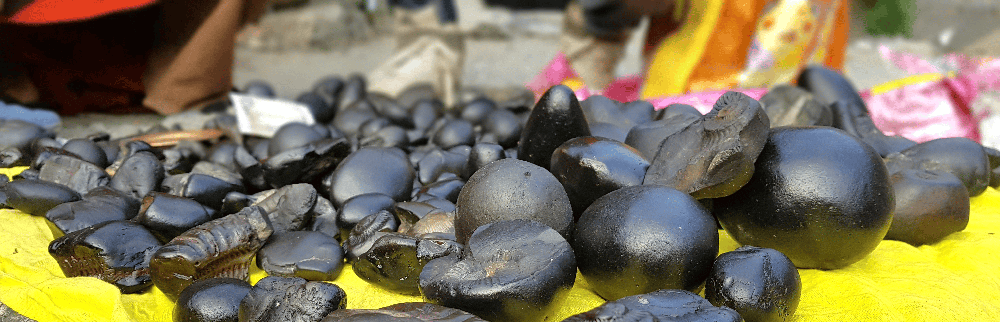 Salagrama - The Holy Stone of Lord Vishnu. Authentic Rudraksha Beads ...